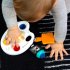 Baby Einstein Color Palette Popper Sensory Toy TJsKids 加拿大母婴网站